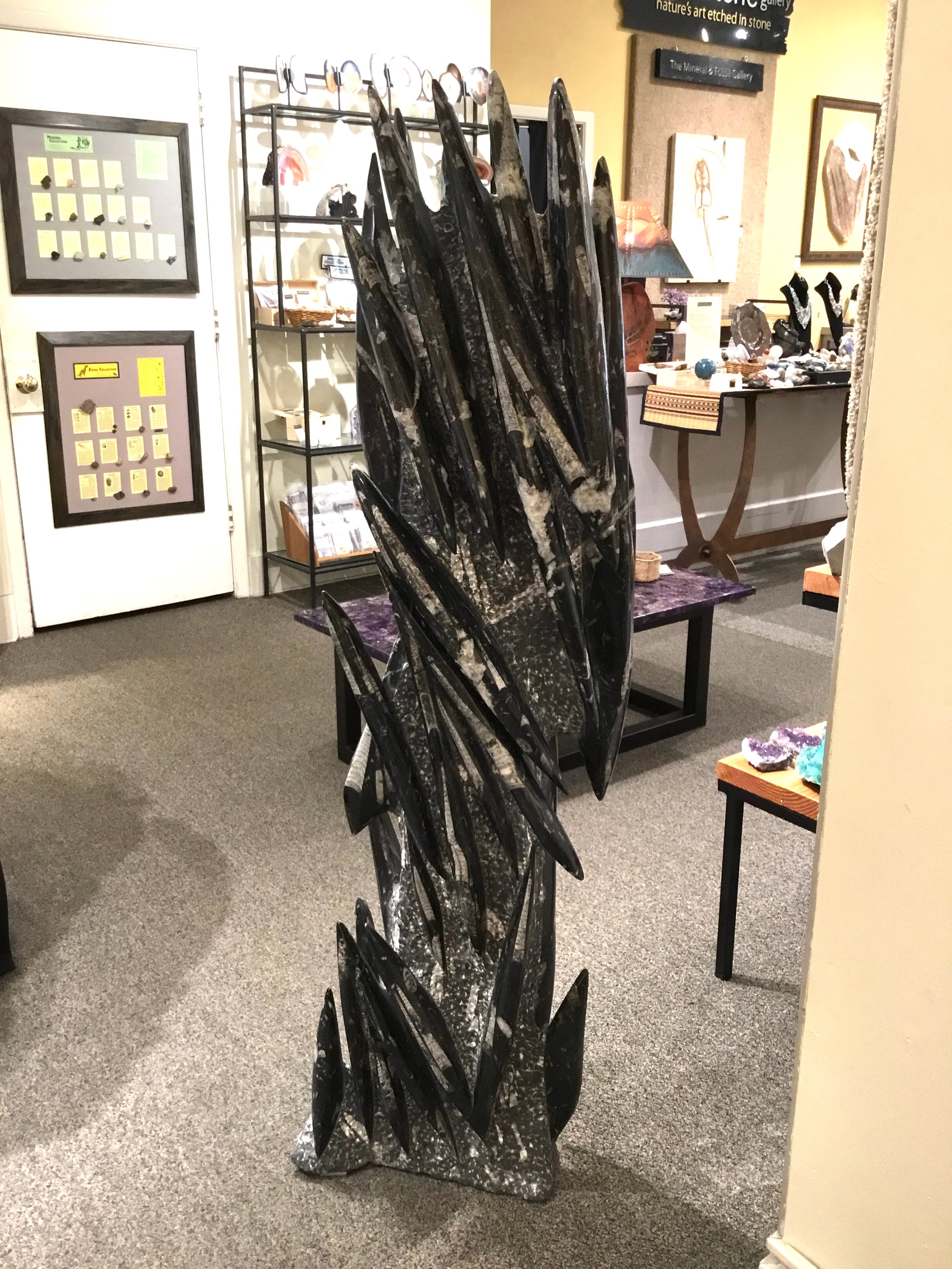Orthoceras Standing Sculpture -Shop Online - | touchstone gallery